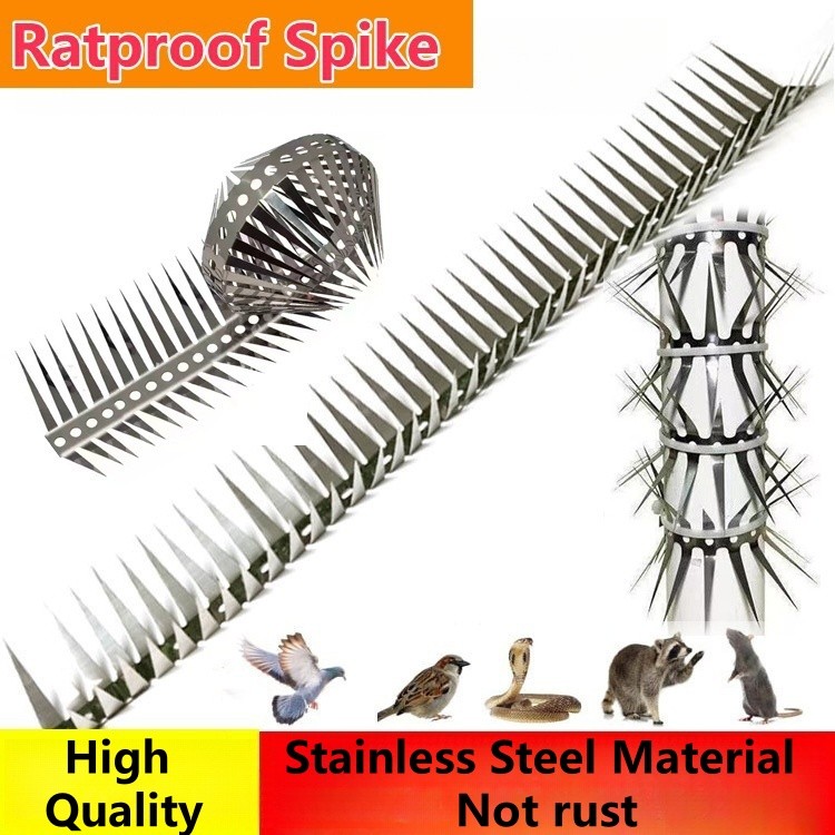 Anti-Bird Spikes, 1m Stainless Steel Anti Spikes, Entangle Balcony Eave ...