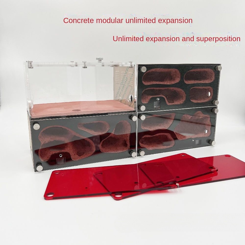 Spot goods reptile box ant nest ant house pet gate Pet Ant Nest Ant ...