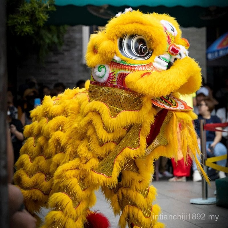 National Trendy Lion Dance Lion Head Winking Lion Dance Full Set a ...