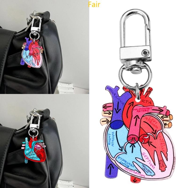 Fair Educational Heart Keychain Charm Featuring Human Anatomy for ...