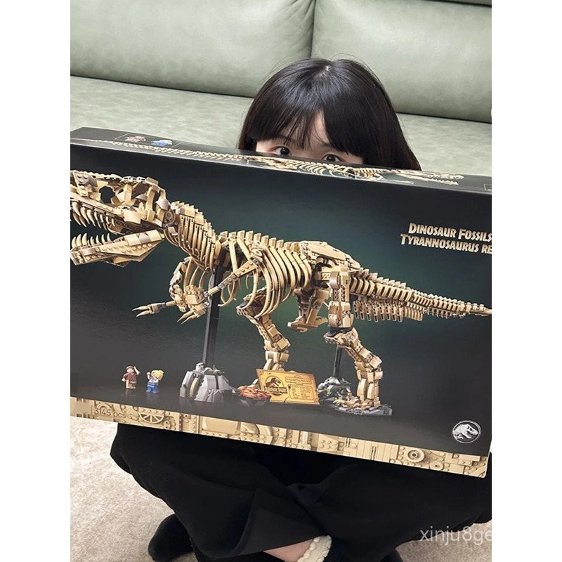 Jurassic Tyrannosaurus Rex Dinosaur Fossil Frame Boy Educational ...