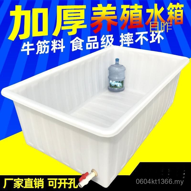Storage Bucket Plastic Beef Tendon Beef Tendon Basin Water Tank ...
