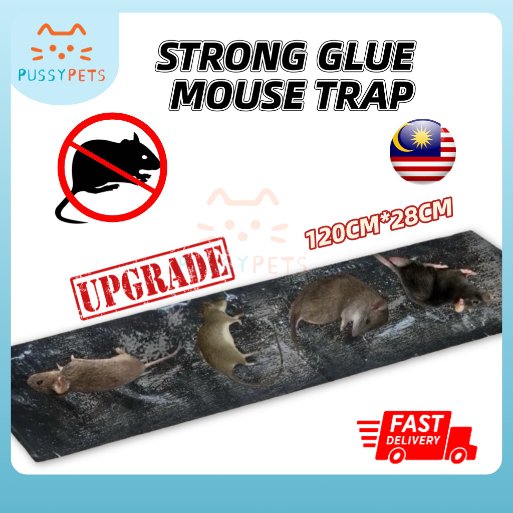 COD Strong Adhesive Mouse Trap Glue Board Effective Rat Catcher Non ...