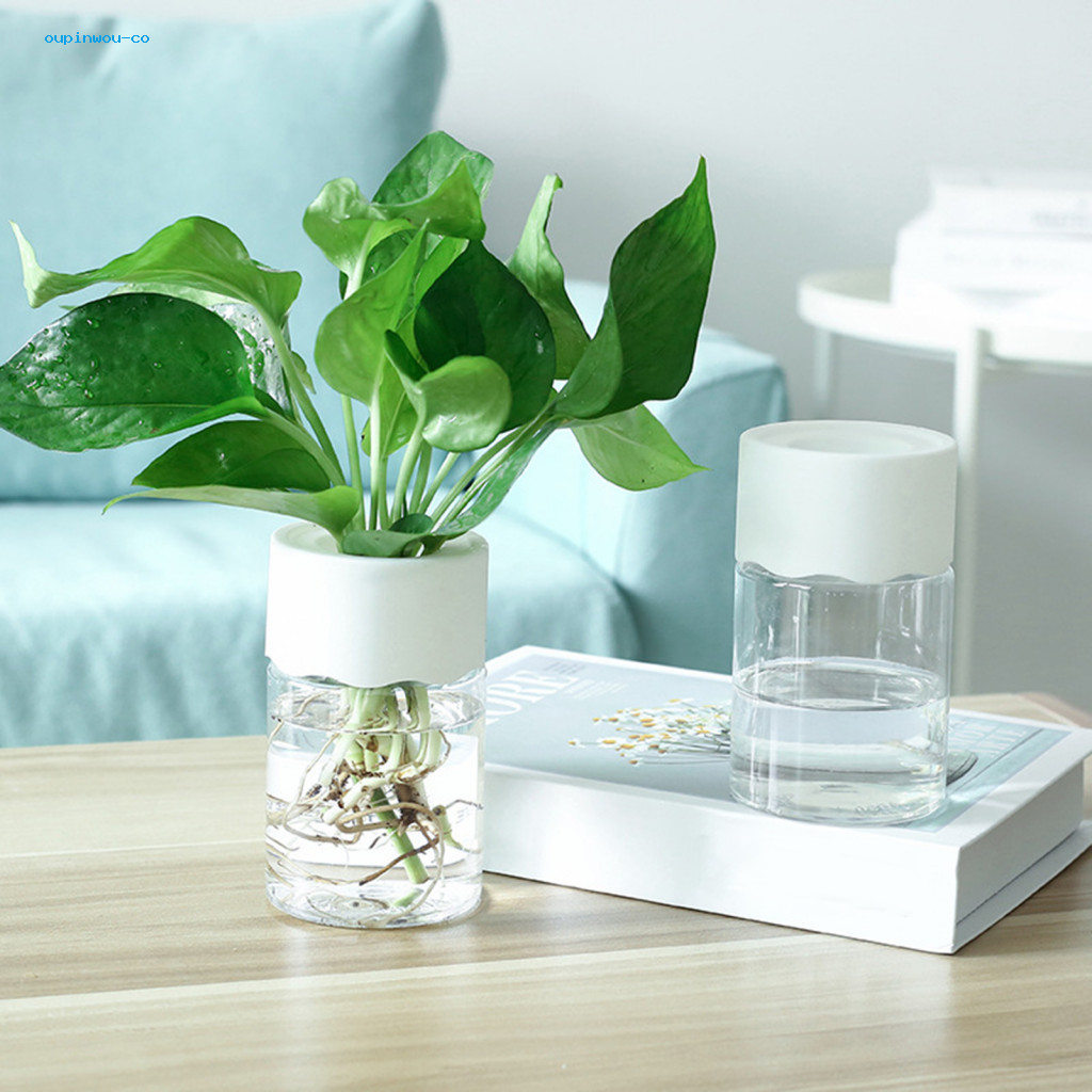 oupinwou Soilless Plant Growing Pot Safe Children Room Plant Pot Mini ...