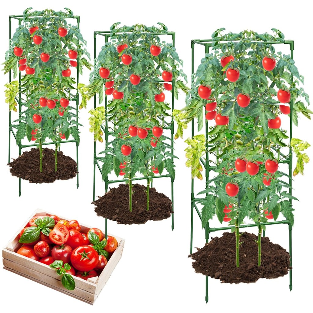 3 Pek Sangkar Tomato, Pancang Tanaman Tomato Persegi Sangkar Sokongan ...