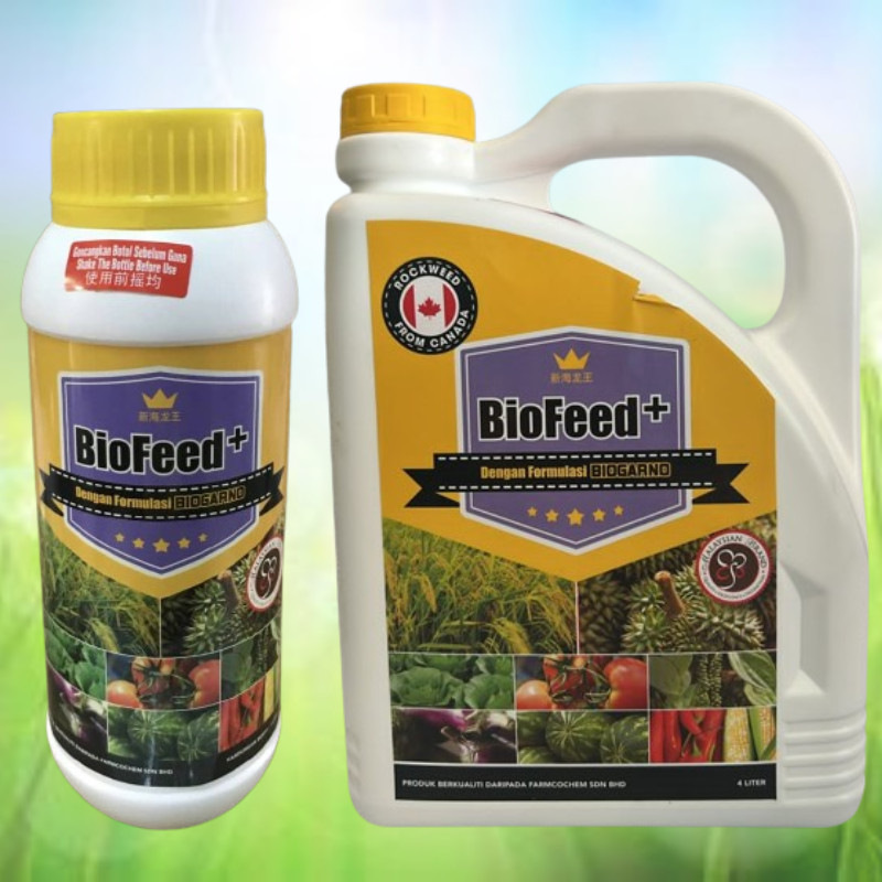 [ORIGINAL] 1L 4L BIOFEED FARMCOCHEM Bio-Feed Baja Foliar Durian Buah ...