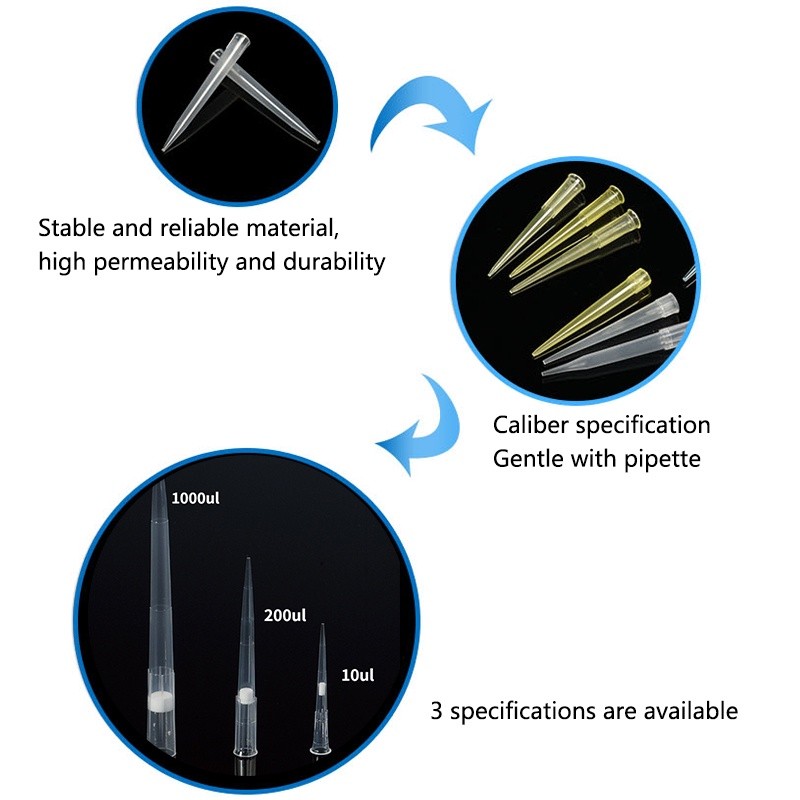 1000Pcs/set Pipette Tip 10ul 200ul 1000ul Disposable Pipette Tips For ...
