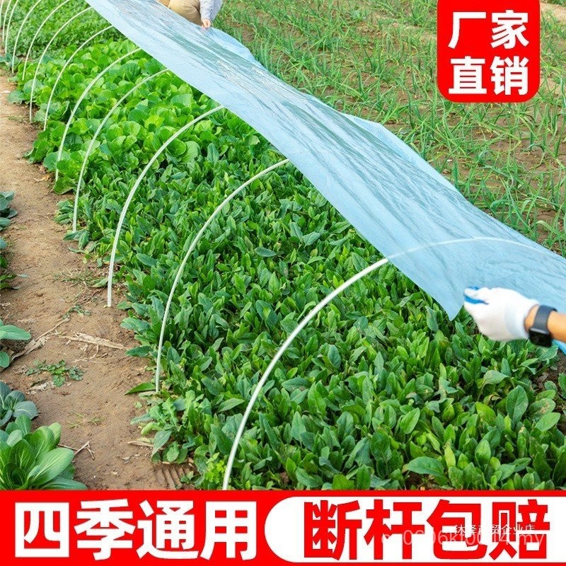 Bracket New Type Glass Vegetable Shed Greenhouse Glass Steel Frame Arch ...
