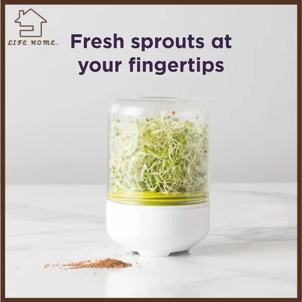 YELGIRL Sprouts Growing Kit, Bean Plants Sprouting System Countertop ...