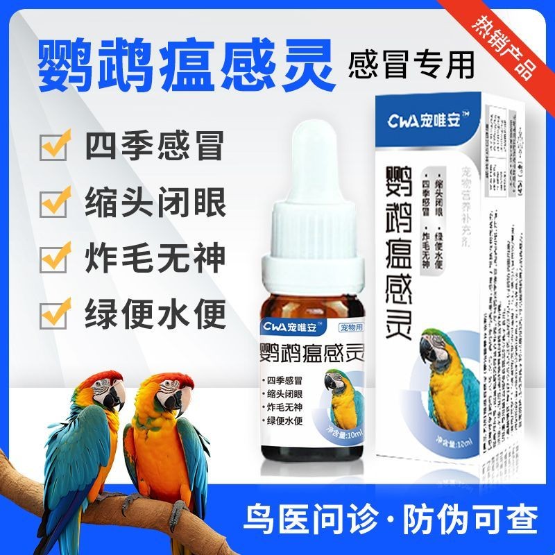Parrot Cold Digestion Potion for Stool Diarrhea Parrot Single Eye Cold Parrot Medicine Parrot ...