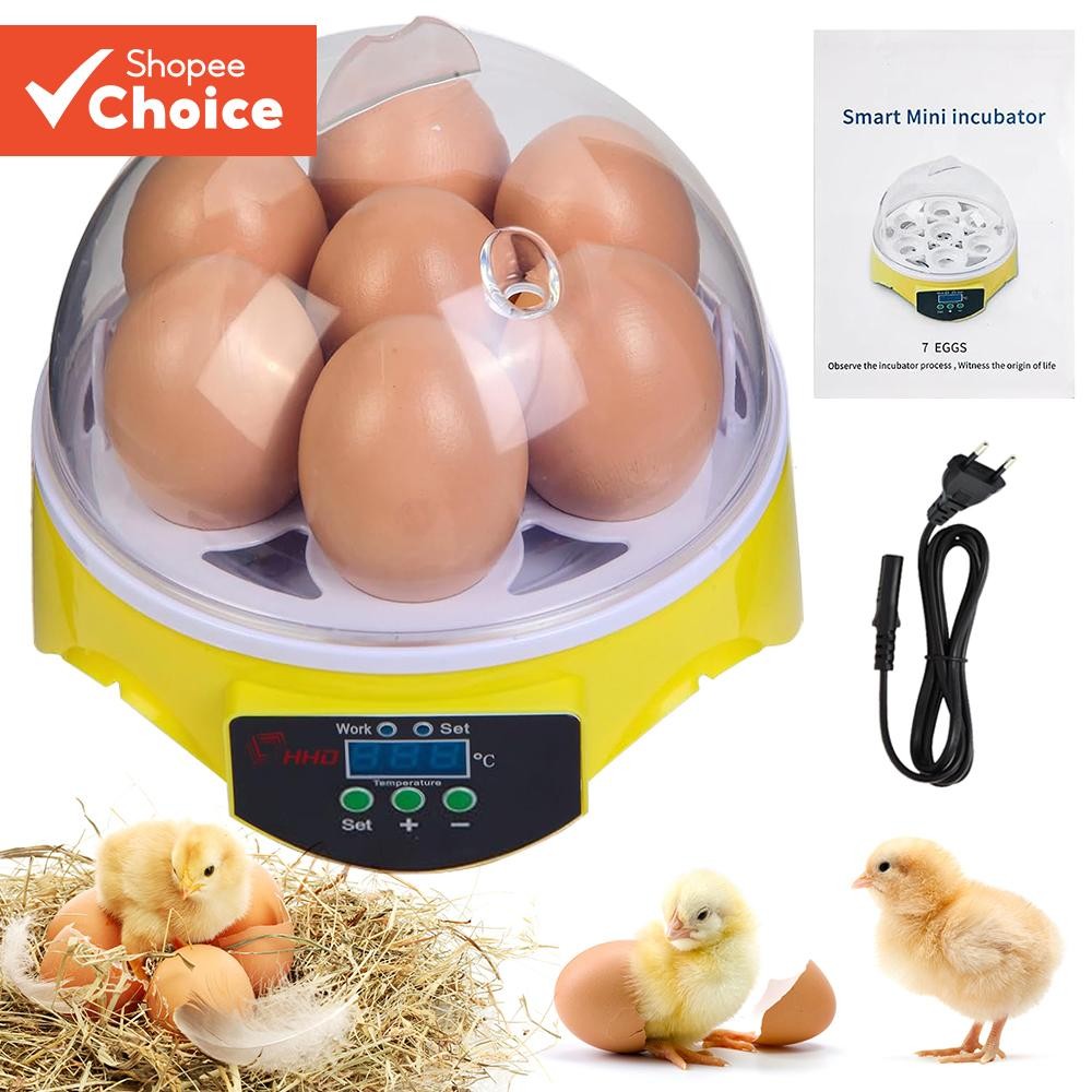 Incubator Small Household Type Chicken Duck Turtle Bird Egg Incubator ...