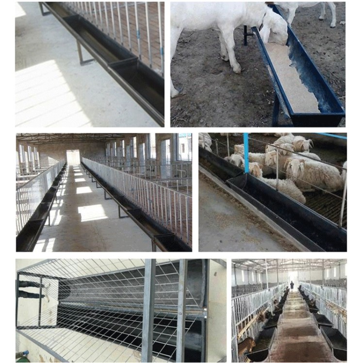 1 Meter Panjang Bekas Makan Kambing Palong Bekas makan lembu rusa bekas ...