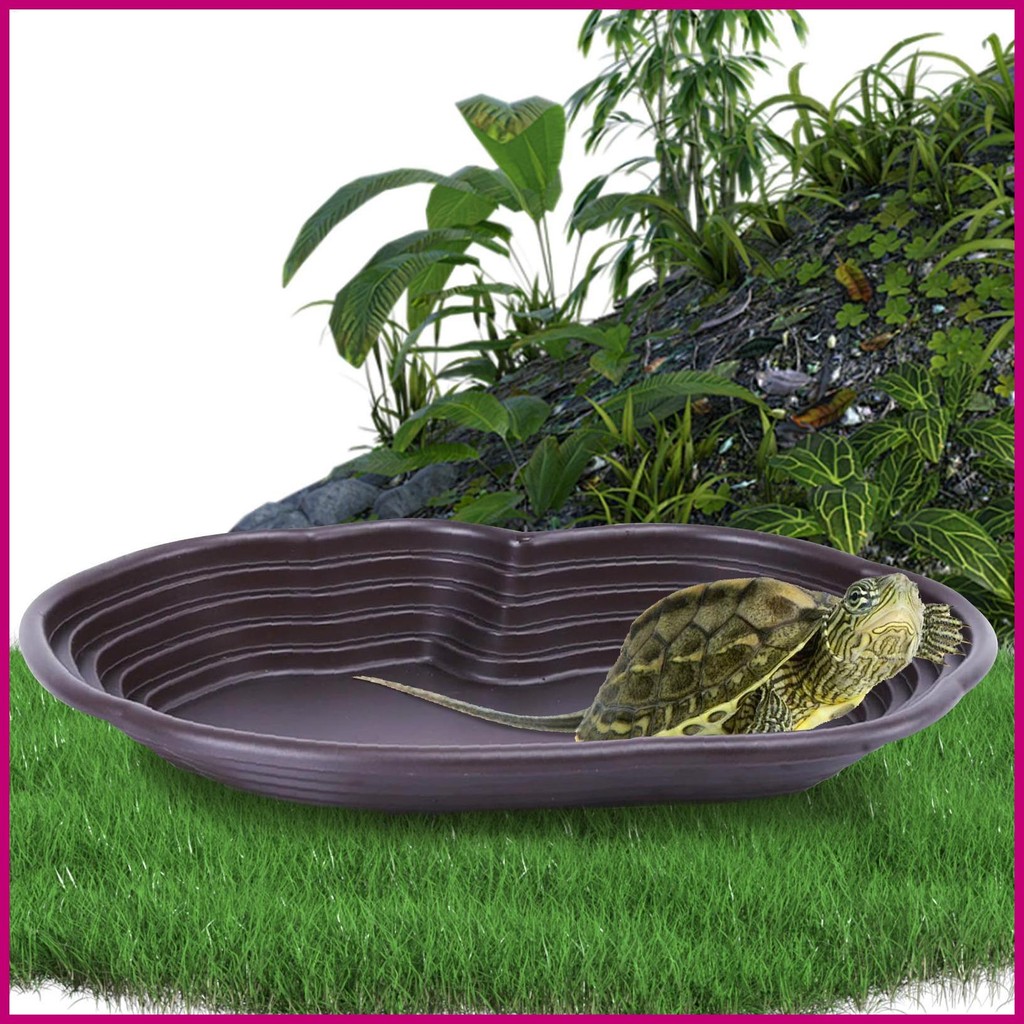 Tortoise Bathing Dish Large Amphibians Habitat Accessories Round Hole ...