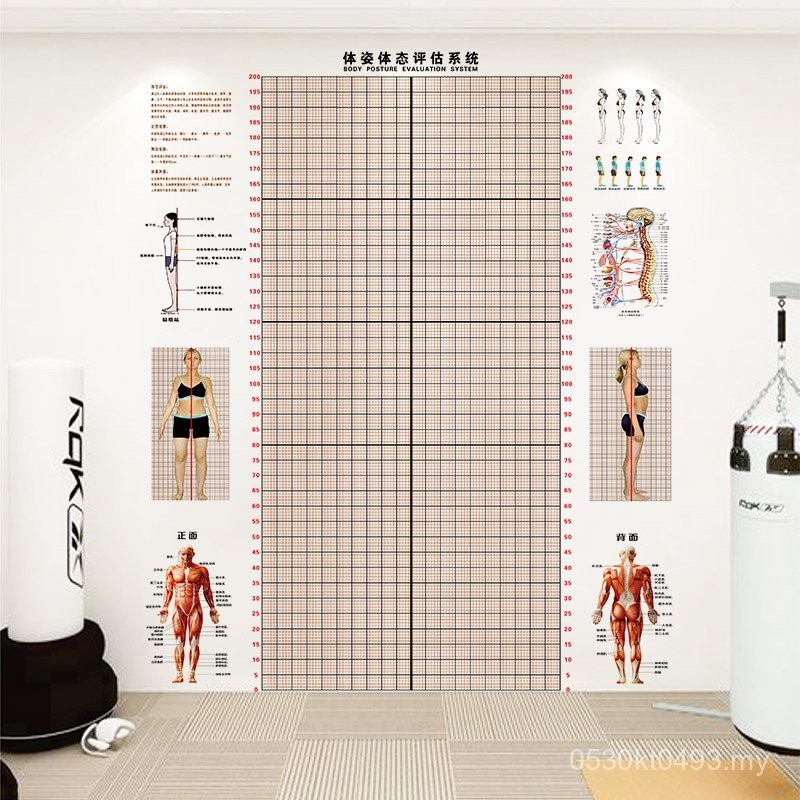 Private Education Grid Paper Background Wall Posture Position Wall ...