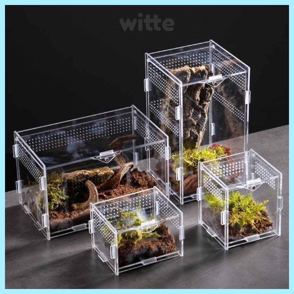 WITTE Reptile Habitat, Acrylic Anti-Escape Lizard Breeding Box ...