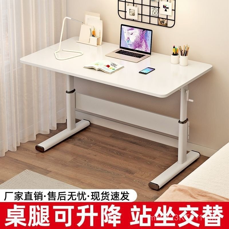 Owl Lift Computer Desk Bedroom Home Study Desk Desk Student Writing ...