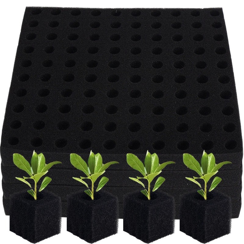 Nursery Hydroponic Grow Cubes Plant Sponge Seedling Blocks Soilless ...