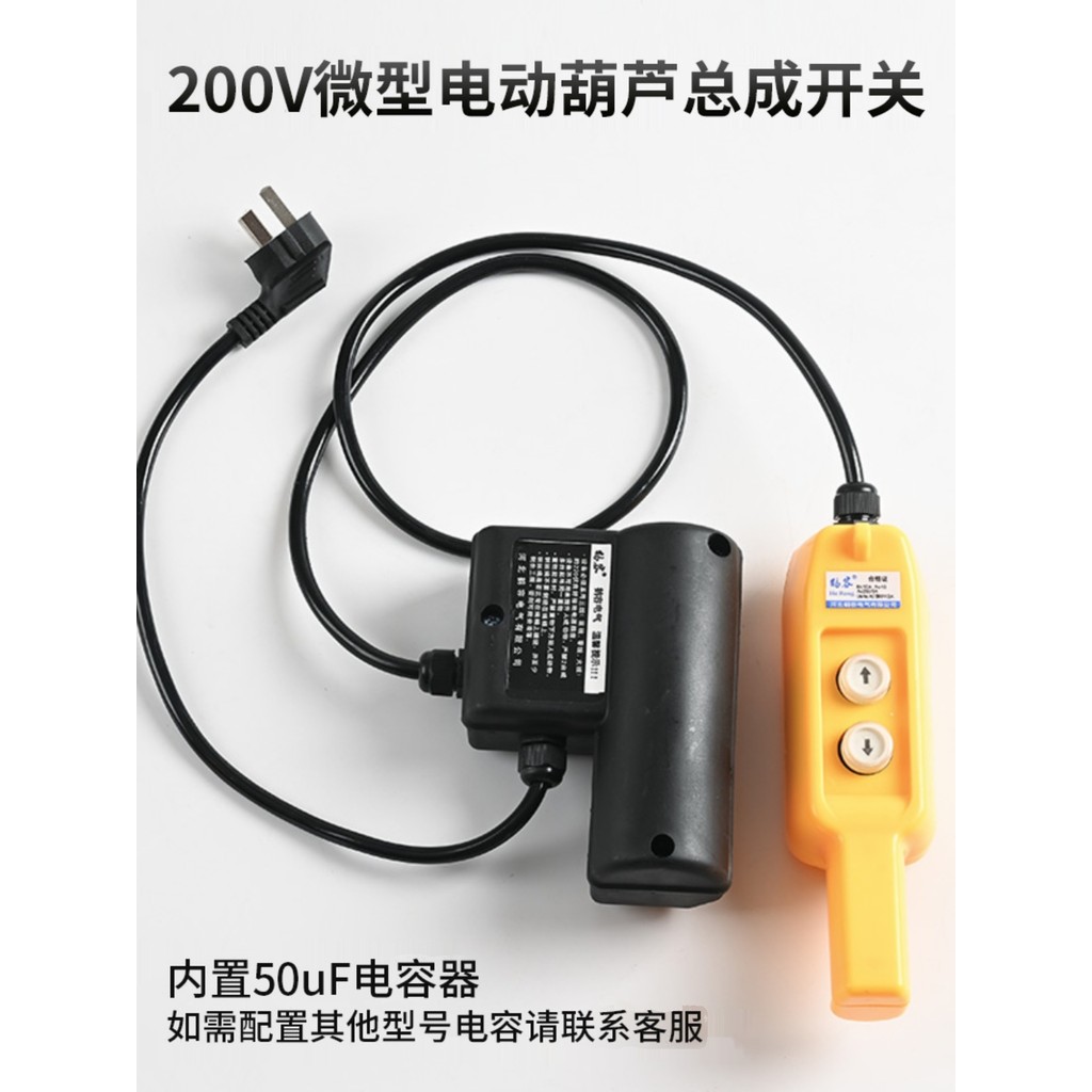 Micro Electric Gourd Lift Small Crane 220V Lift Switch Rock Type Push ...