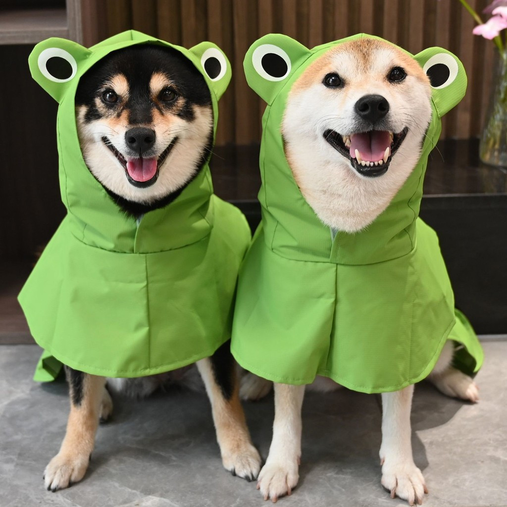 Rain Frog Suit/Pet Dog Corgi Teddy Shiba Inu Raincoat Waterproof Summer ...