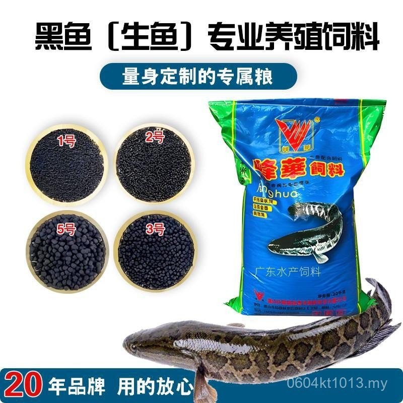 High-Protein Mullet Fish Puffed Seven-Star Fish Blackfish Fish Grain ...