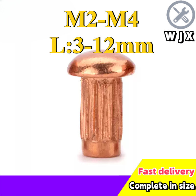 Red Copper Label Rivets m2/m2.5/m3/m4 (WJX-RM-MY | Shopee Malaysia