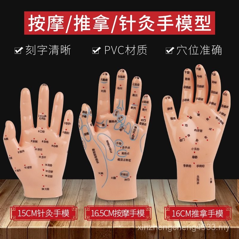 Hand Moxibustion Meridian Model | Shopee Malaysia