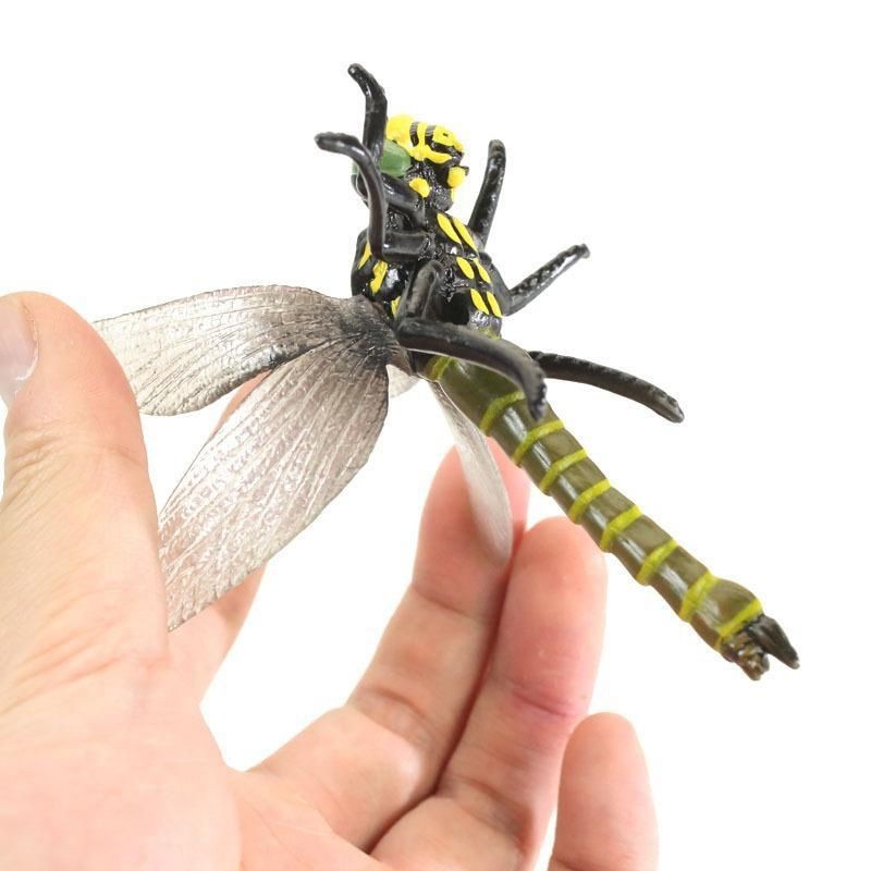 Simulation Insect Cognitive Model Dragonfly Model Simulation Animal Toy ...