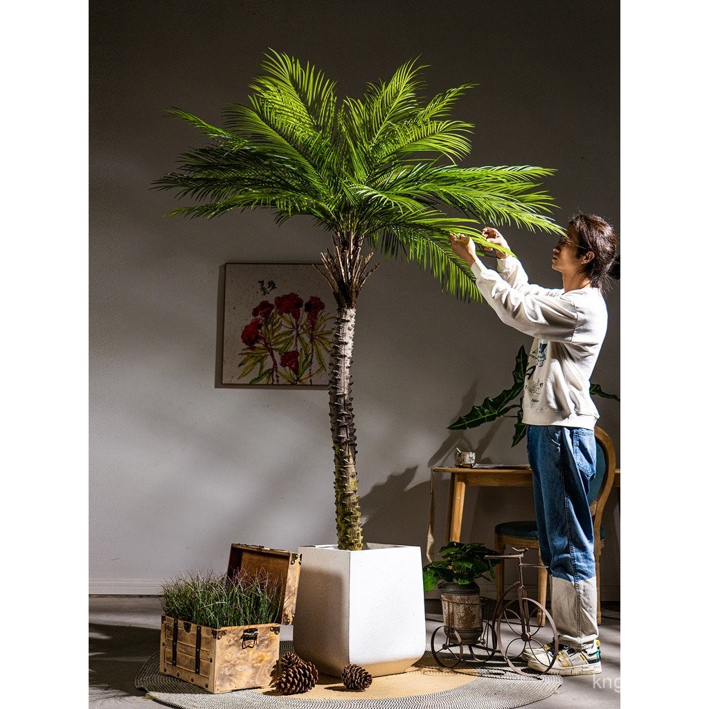 Jarum Pokok Kelapa Pokok Kelapa Pokok Kelapa Pokok Kelapa Pokok Hutan ...