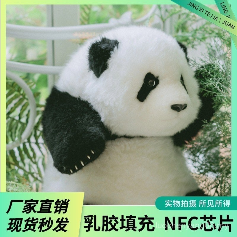 [1947 People] Panda Factory Flower Panda Doll Chengdu Cultural Creative ...