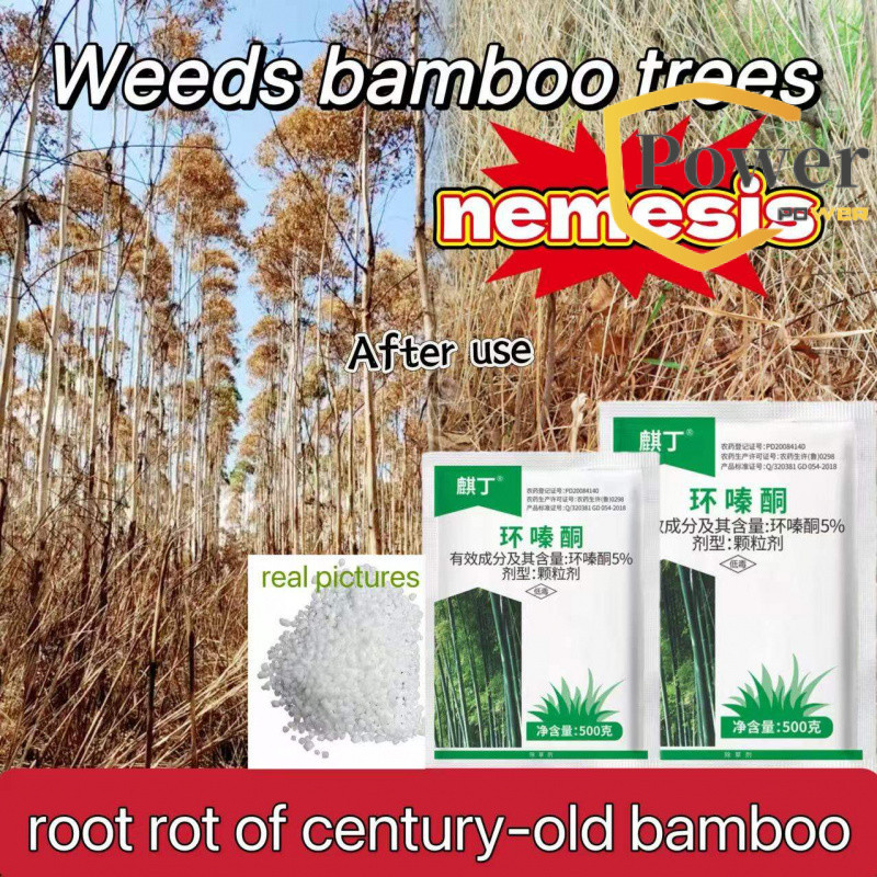 Racun herba Can kill 100-year-old trees Weed killer racun rumput tabur ...