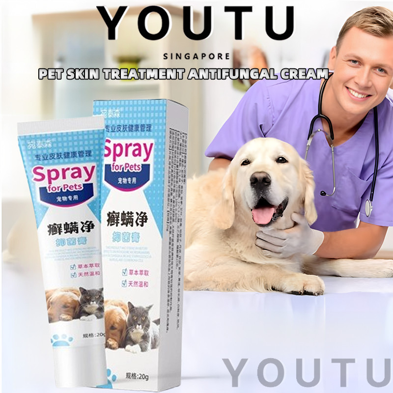 Cat ringworm Dog ringworm Antifungal cream Pet skin treatment Care for ...
