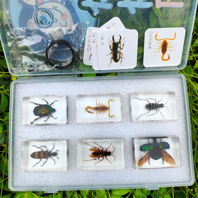 4.5cm Transparent Resin DIY Mini Specimen Insects Real Bug Models ...