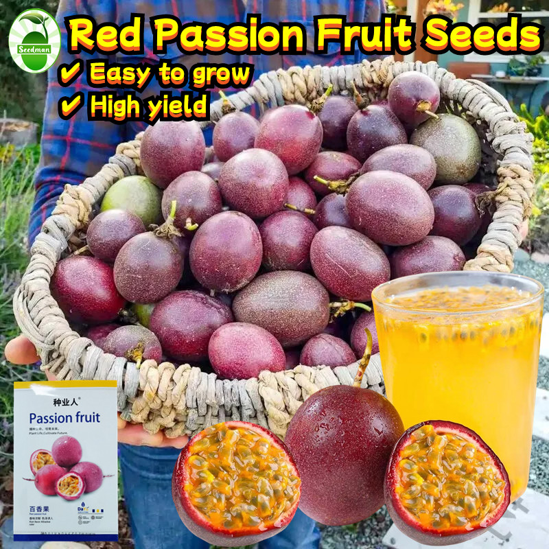 80pcs/pack Sweet Red Passion Fruit Seeds for Planting Benih Buah ...
