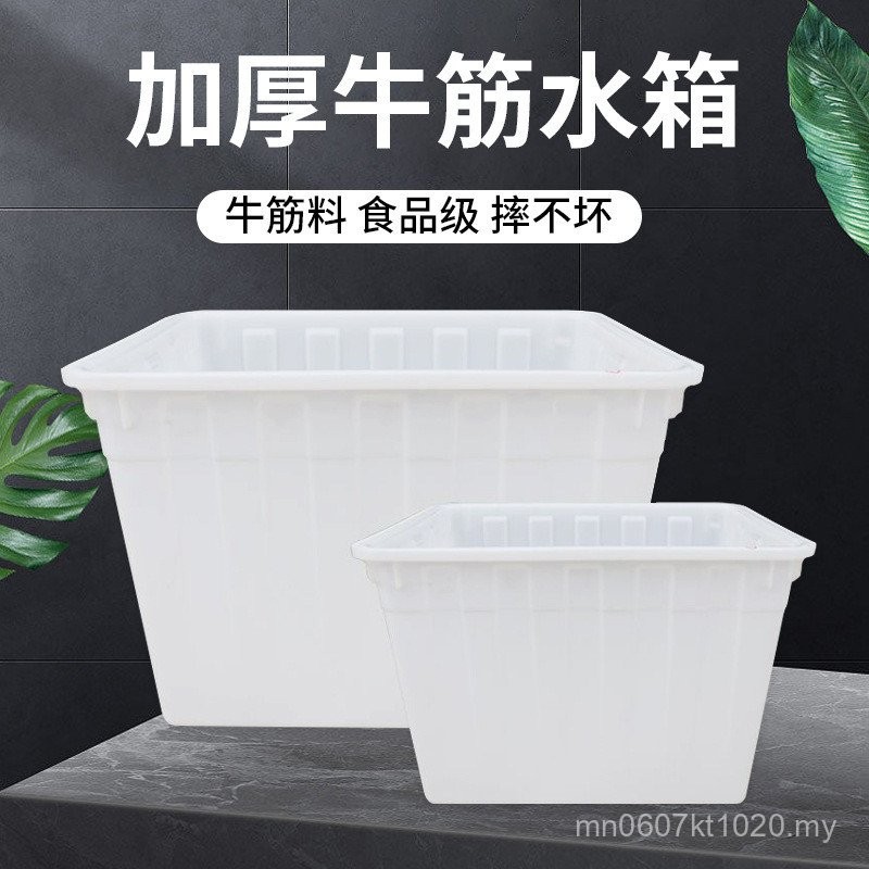 Basin Beef Tendon Big Beef Tendon Plastic Breeding Tank Storage Bucket ...