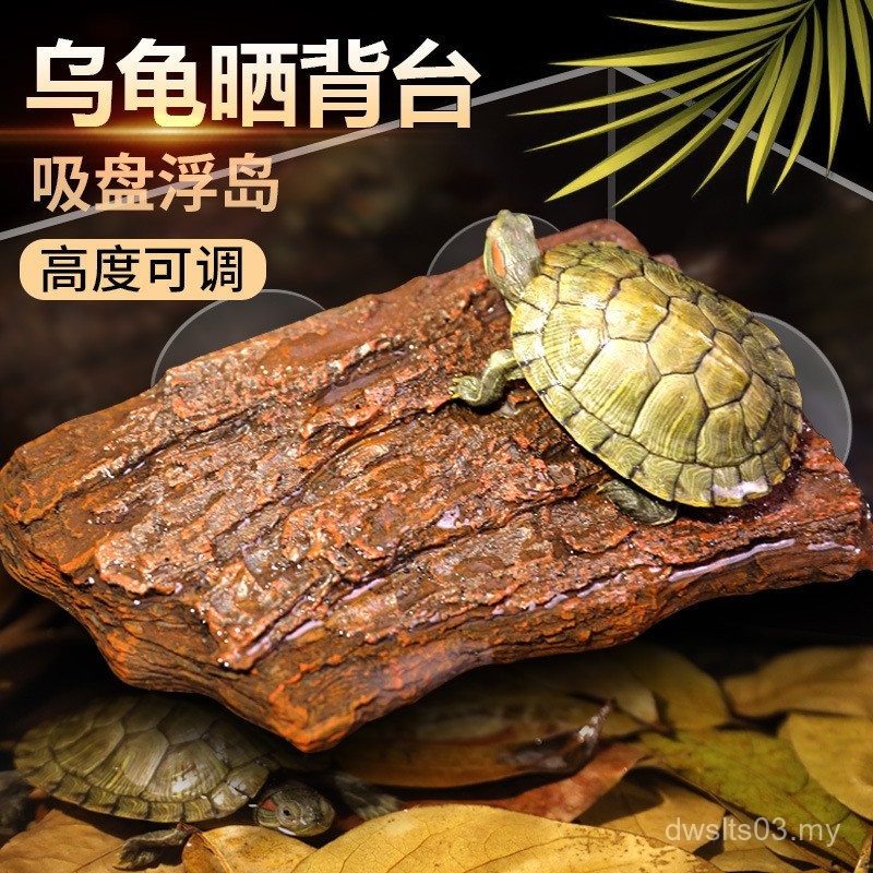 SG Turtle Backing Platform Climbing Platform Turtle Tank Landscaping ...