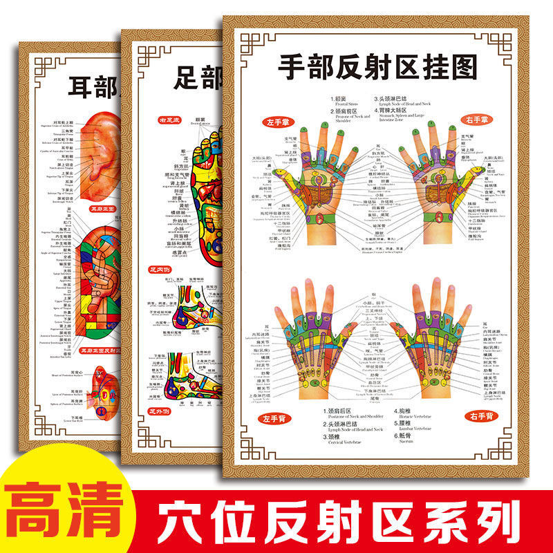 Human Foot Hand Ear Head Acupuncture Chart Reflection Area Wall Chart ...