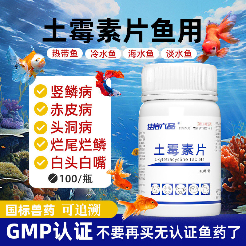Aquarium Fish Medicine Soil Mold Vegetarian Koi Goldfish Rotten Meat ...