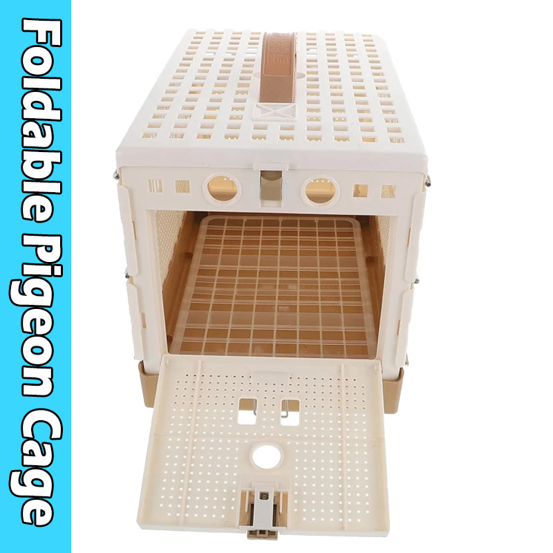 Foldable Pigeon Cage Training Box S/M Cage Plastic LARGE Pigeon ...