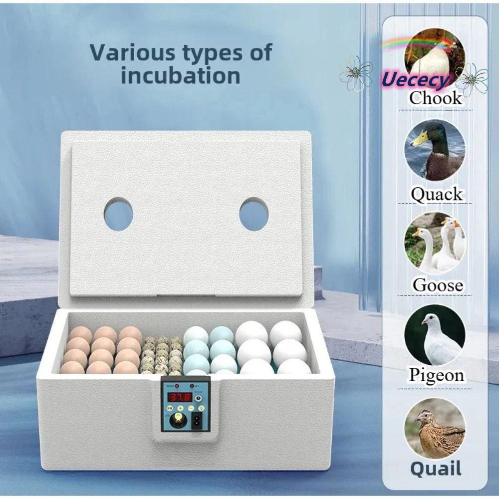 UECECY Small Poultry Egg Incubator, Temperature Control Intelligent ...