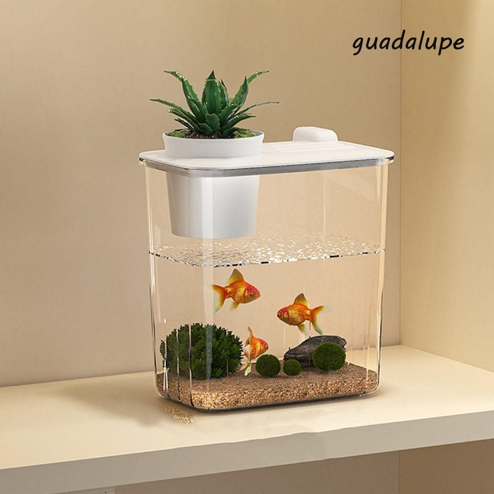GUADALUPE Betta Fish Viewing Box, Transparent Removable Tabletop Fish ...