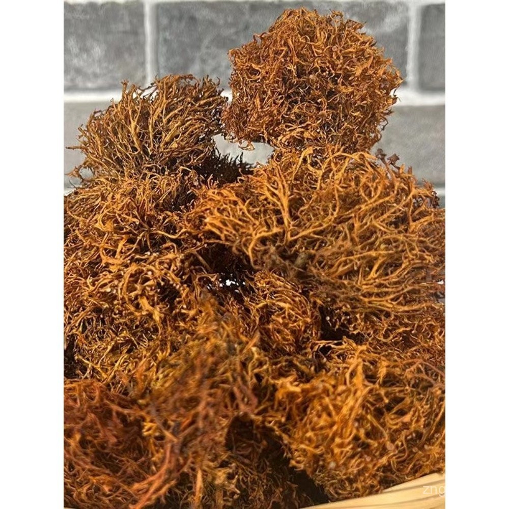 1 Jin Yunnan Khas Pokok Liar Bunga Sayuran Pokok Kulit Pokok Bunga ...