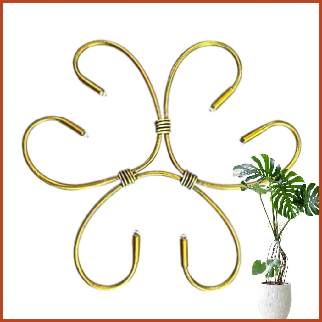 Plant Leaf Holder Support Monstera Support Stem Holder Plant Stabilizer ...