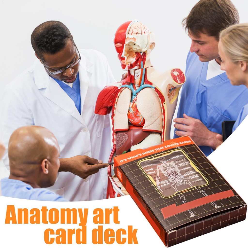 The Body Deck Cards Anatomy Playing Cards 3D Funny Educational Learning ...