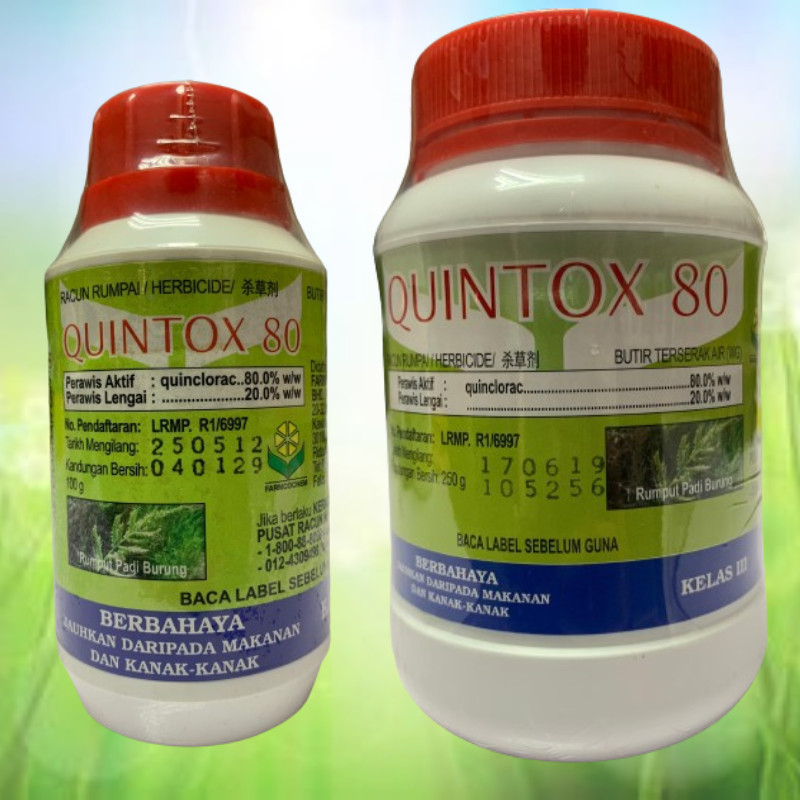 [ORIGINAL] 100G & 250G QUINTOX 80 Farmcochen / Herbicide / RACUN RUMPAI ...