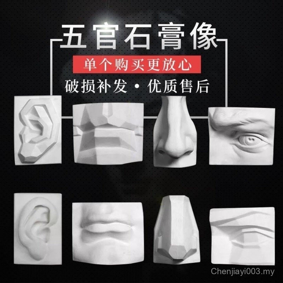 Facial Plaster Statue Real Face Eye Ear Nose Model Sketch Still Life ...