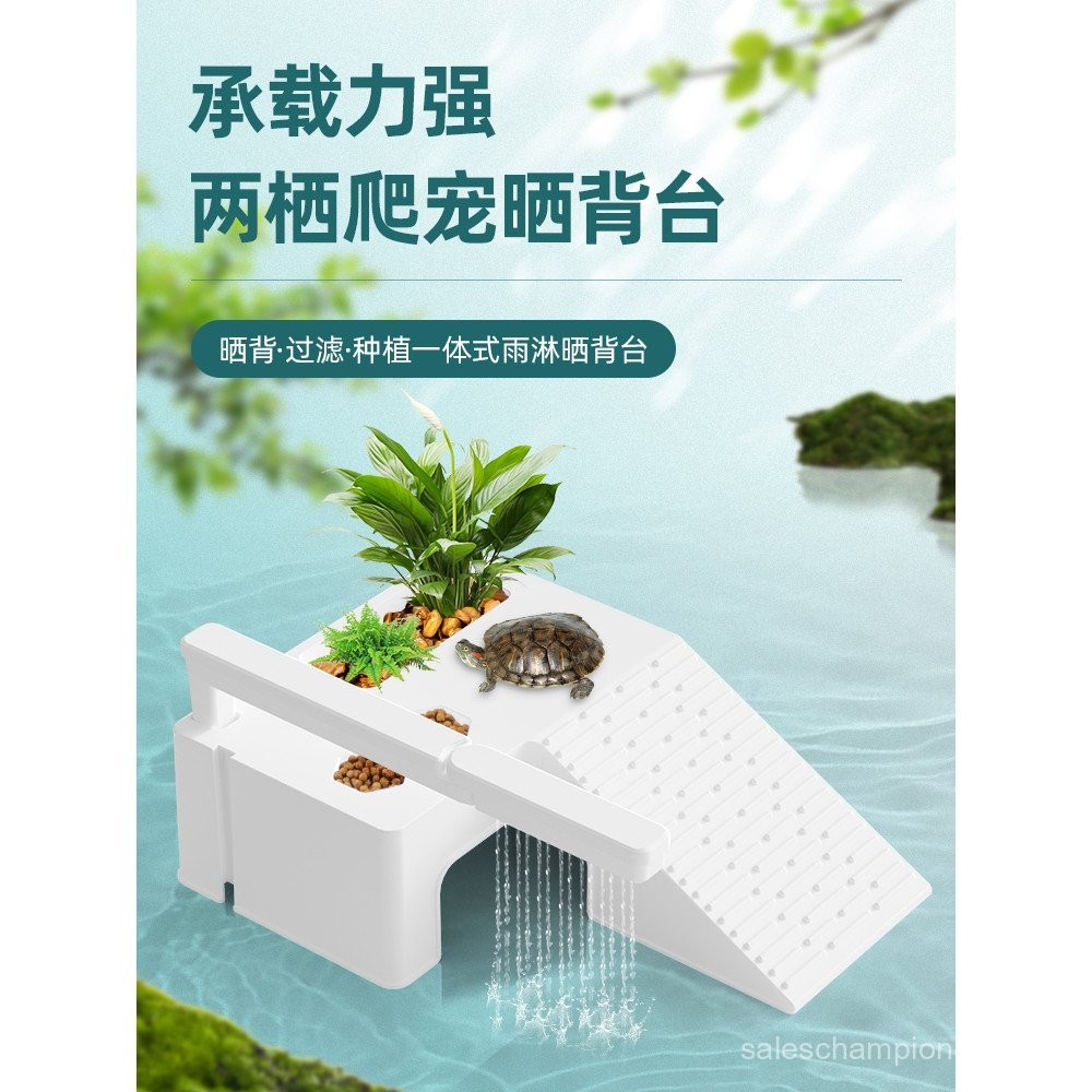 BG Turtle Sunning Back Platform Amphibious Turtle Sunning Platform ...