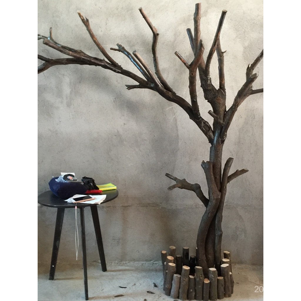 Batang Pokok Asli Pokok Hiasan Kalis Serangga Kedai Kopi Pokok Mati ...