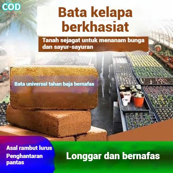 【Jualan Terus Kilang】Bata Sabut Kelapa Tanah Nutrisi, Tanah Kelapa ...