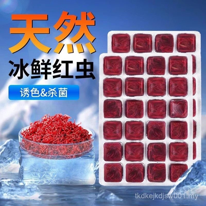 [2.20,000 People Praise] Red Worm Fresh Frozen Red Worm Goldfish ...