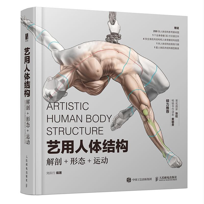Genuine Artistic Human Body Structure Anatomy Form Sports Book Human ...